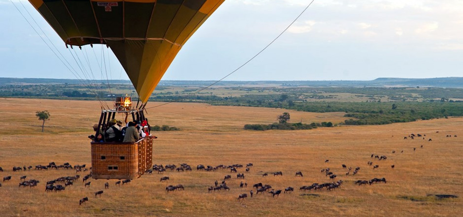 Safari in Mongolfiera – Primaland Safaris Blog