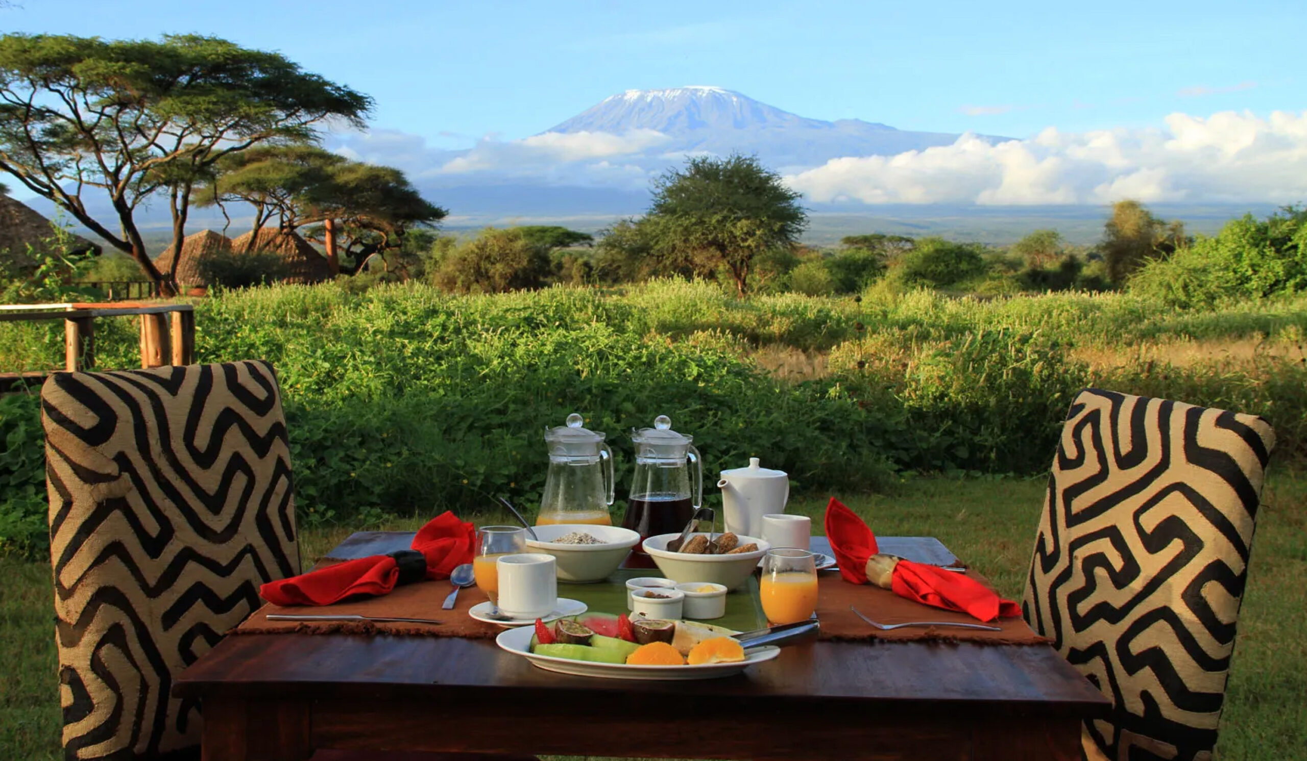 Cosa si mangia durante un safari – Primaland Safaris Blog